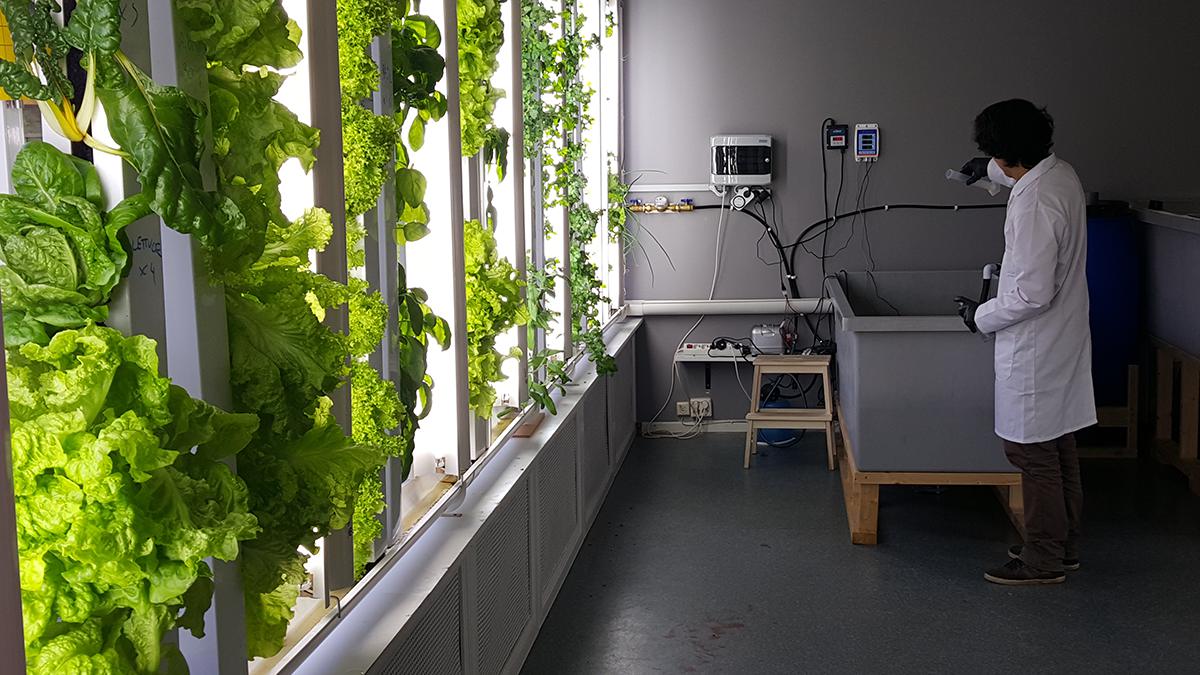 Aquaponics – Ponic Labs